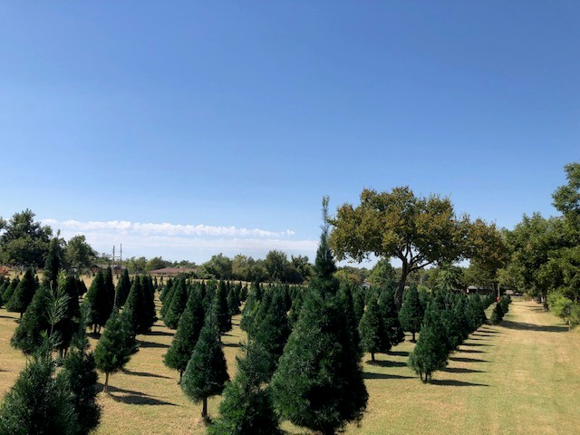 Photography at Cross Timbers – – Where Memories Are Made