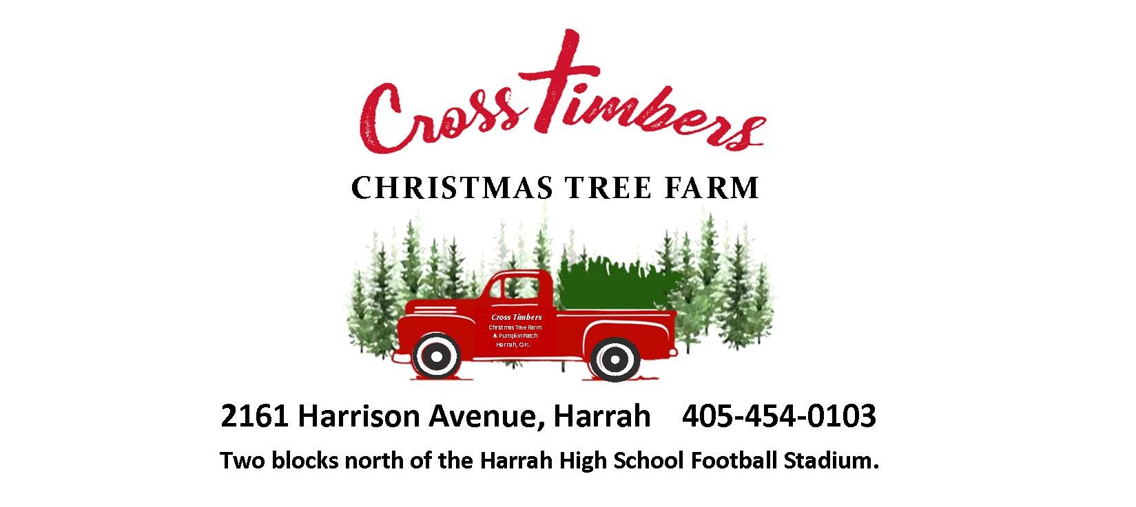 Photography at Cross Timbers – Cross Timbers Christmas Tree Farm