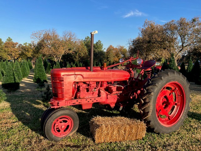 Photography at Cross Timbers – – Where Memories Are Made